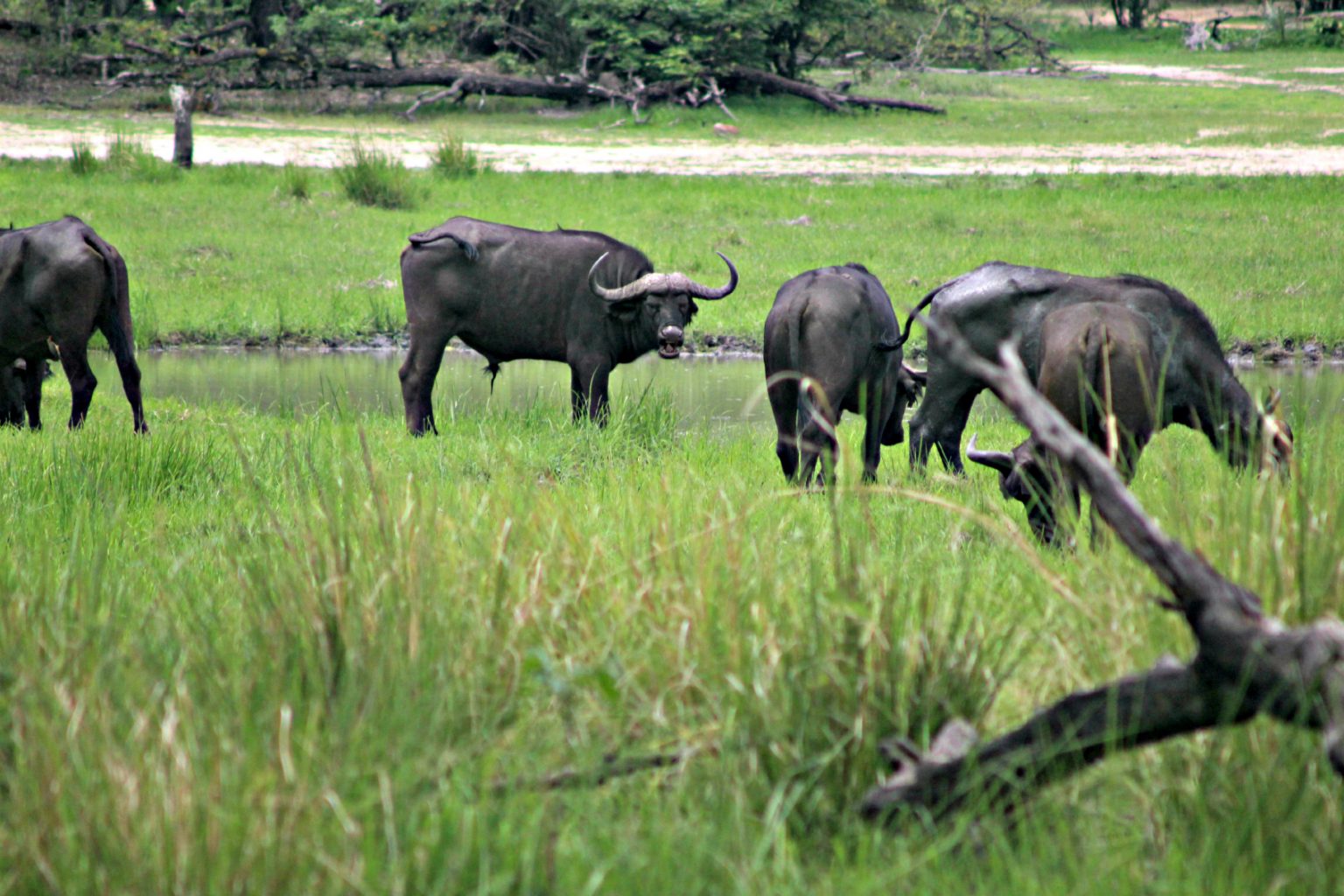 The Musi oa tunya National Park - Maano Adventures