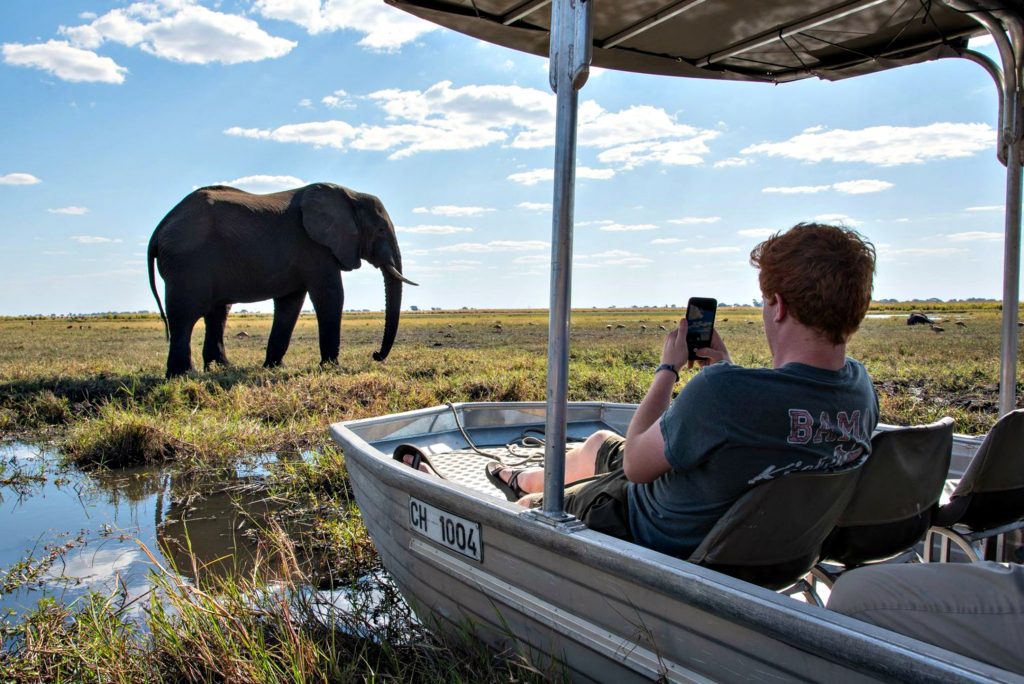 Chobe Day Tour: Game Drive and Boat Ride - Maano Adventures